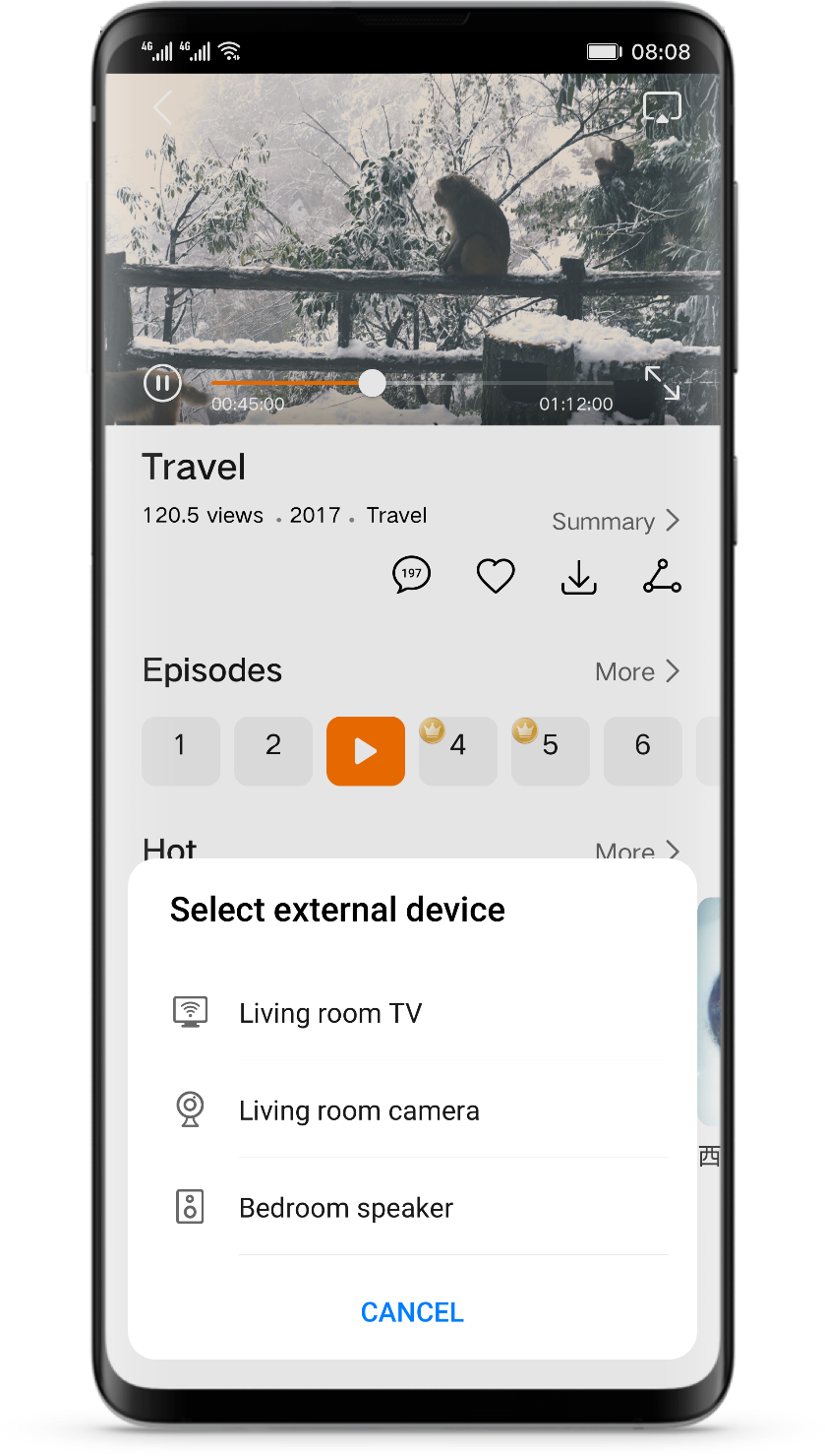 DeviceVirtualization Engine (Application)
