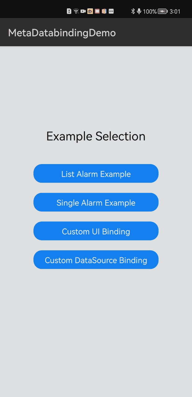 Metadata Binding Framework