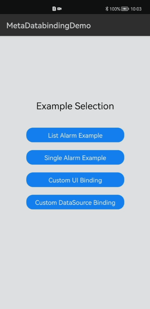 Metadata Binding Framework